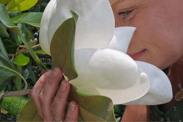 Smell the Flower. - Justine Froelker